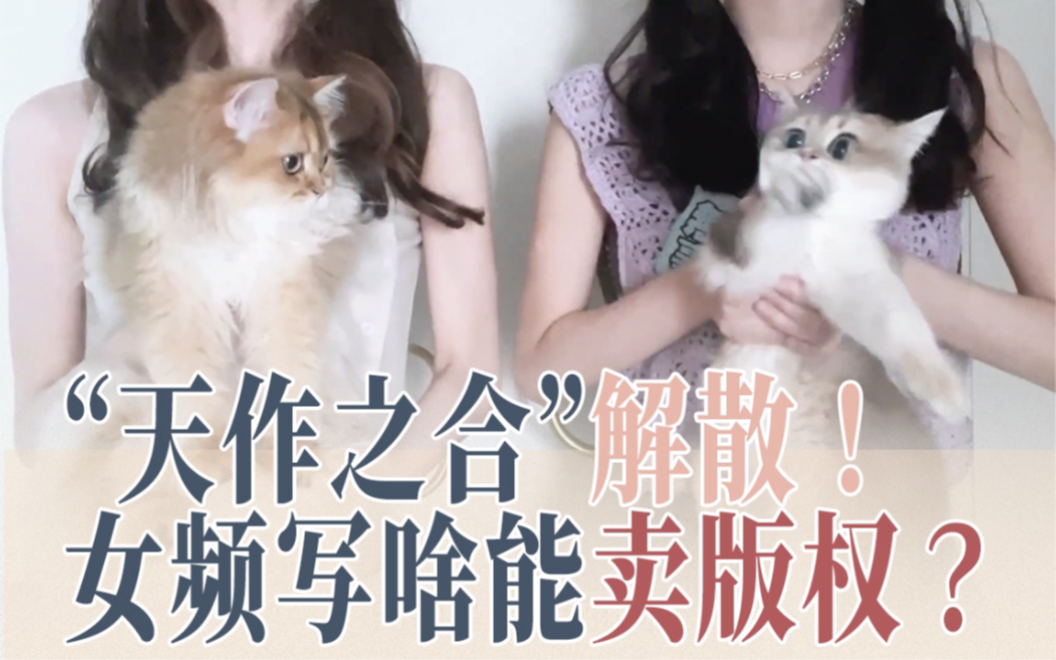 从0到-1的写小说生活!双胞胎挑战180天成为百万网文作者!