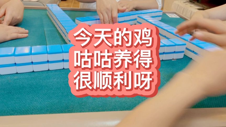 #贵阳捉鸡麻将#麻将# 今天的鸡咕咕养得很顺利呀