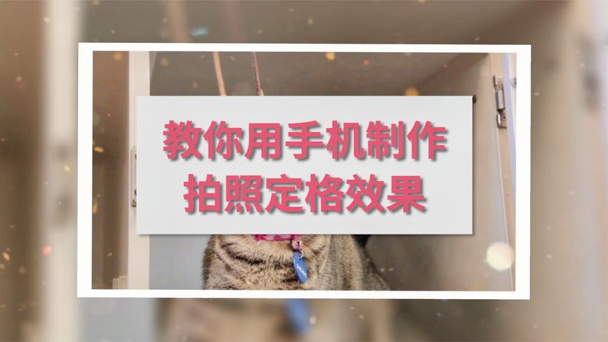 教你用剪映制作拍照定格视频