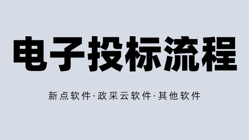 完整的电子投标流程,电子投标过程的全部步骤