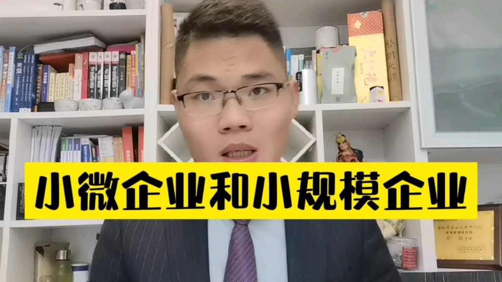什么是小微企业,什么又是小规模企业