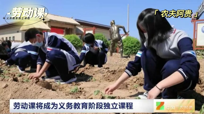 教育部发出通知,劳动课作为义务教育学生的一门独立课程