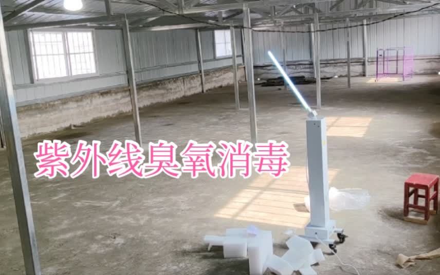 熊大和球球快要出院了,用紫外线臭氧消毒车,能杀灭细小吗?