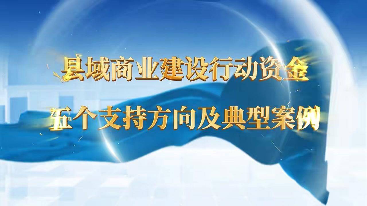 县域商业建设行动资金五个支持方向及典型案例之四:增强农村产品上...