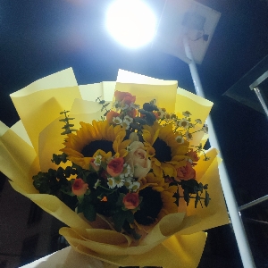 魔兽世界流浪者 