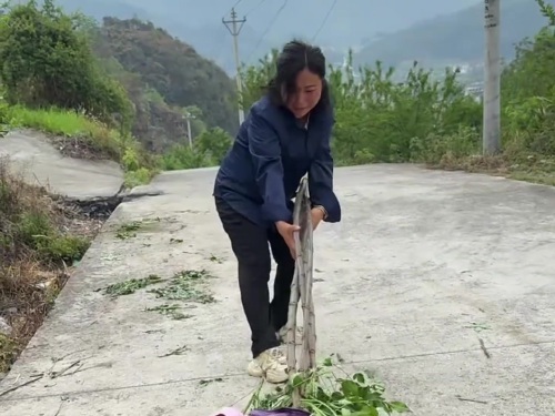 助人为乐,是否真的值得坚持?传统美德背后的真实故事