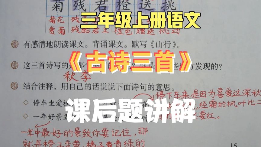 三上语文《古诗三首》课后题讲解,结合注释理解词语、句子是重点