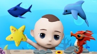 海底世界的奥秘,认识海洋生物早教动画