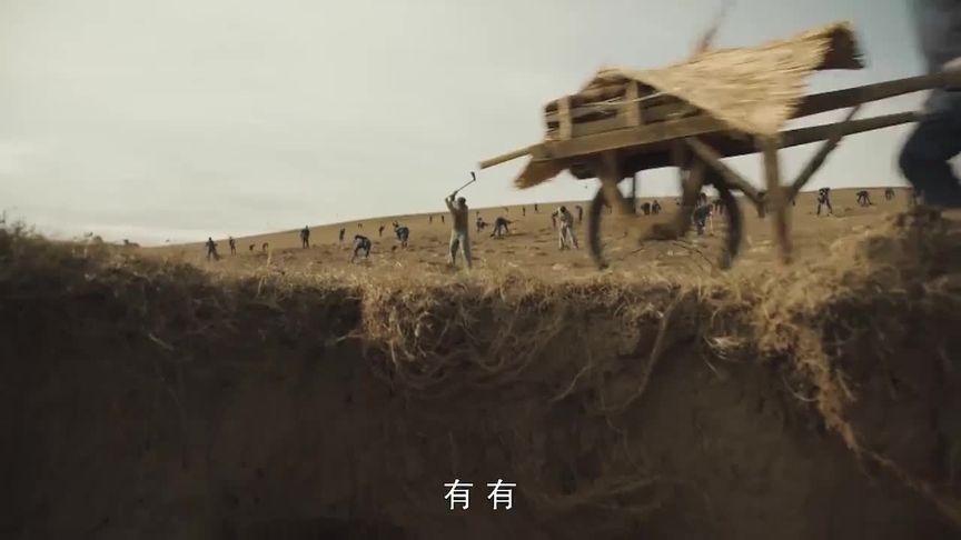 最美的青春:历经多次失败塞罕坝林场造林成功,大家努力没有白费