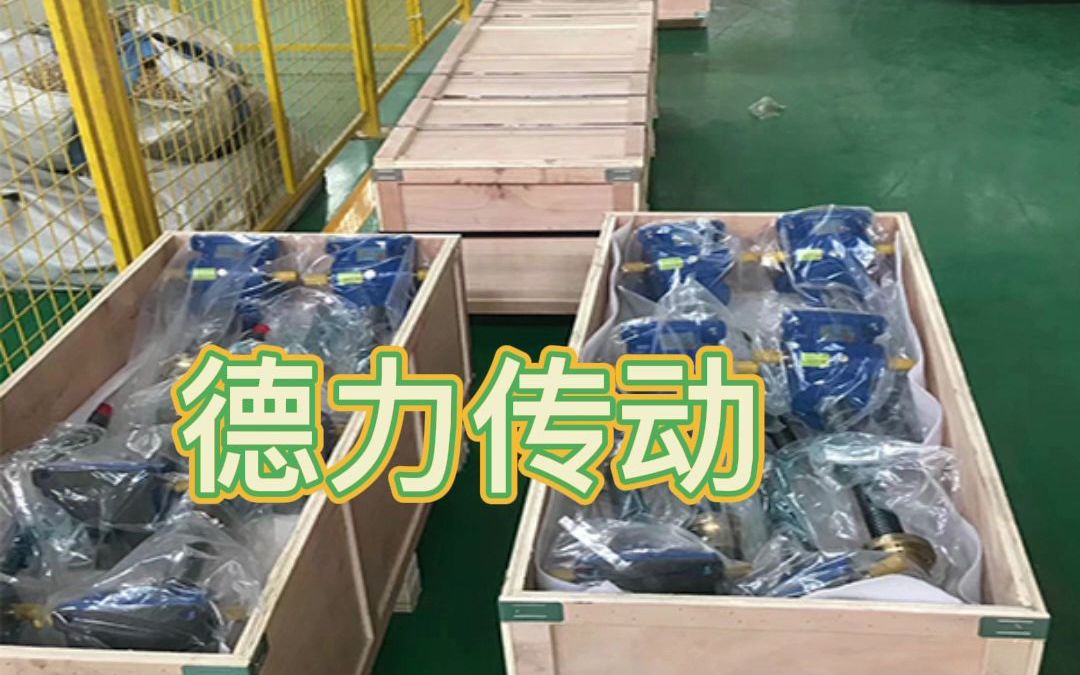 德力传动丝杆升降机型号齐全螺旋升降机支持非标定制