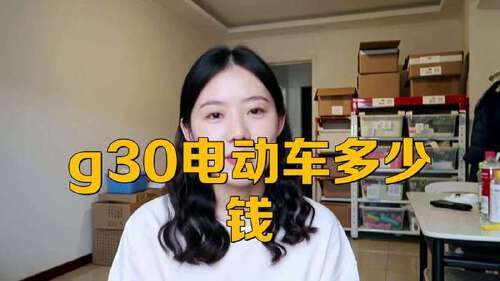 G30电动车价格揭秘:性价比之王究竟值不值得买?
