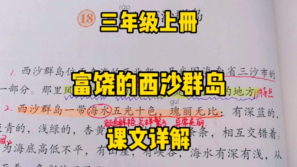 三年级语文上册:一起走进《富饶的西沙群岛》感受它的美丽与可爱!