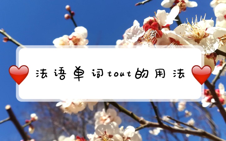 跟法语狗学法语单词tout的用法(法语语法精讲)