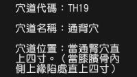 董氏 奇穴 针灸:大腿部称“八八部位” 上三黄