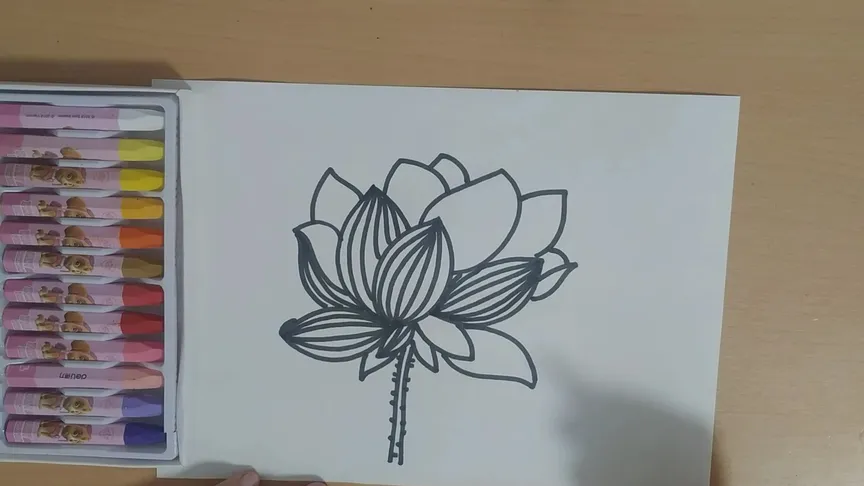 简笔画荷花的画法视频教学步骤,三分钟搞定,儿童画画入门高手