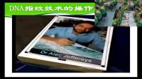 [配课件教案]1.高中生物必修二《科学·技术·社会 DNA指纹技术》...
