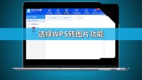 如何将WPS格式转换为图片格式