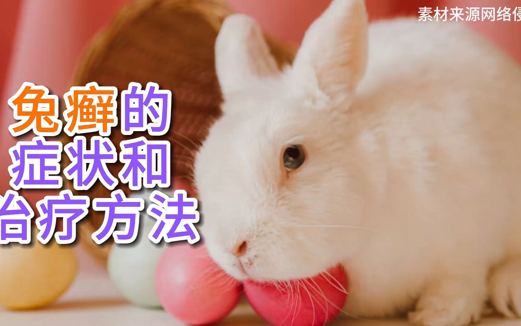 兔癣的症状和治疗方法