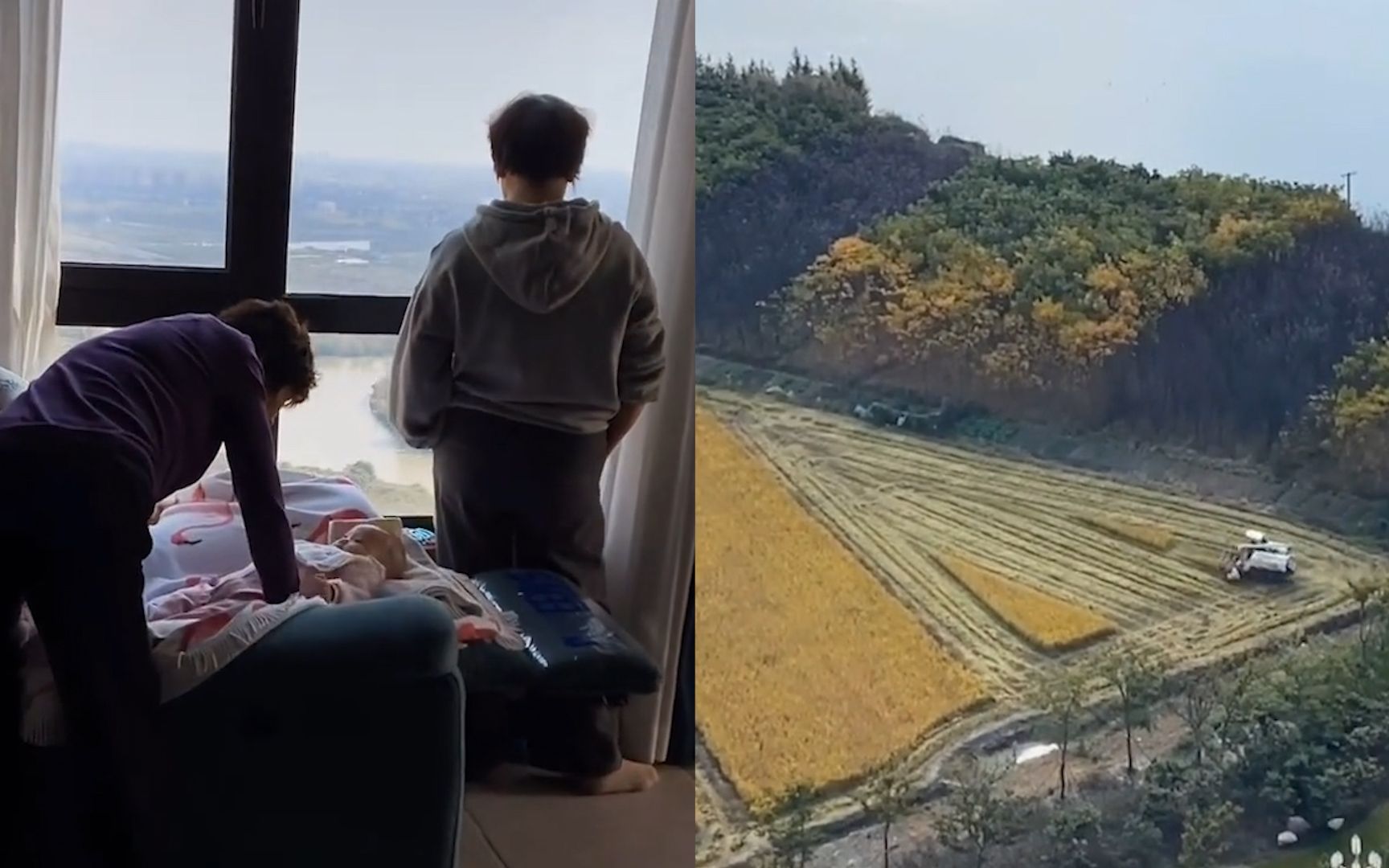 婆婆顾不上带娃直勾勾盯着窗外 儿媳妇凑上来一看 楼下场景超治愈