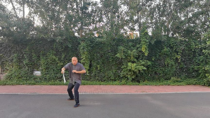 50多岁太极大叔练实战双节棍#全民健身#双节棍#传统武术 #真功夫