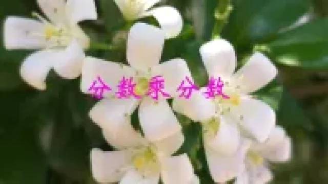 人教版六年级数学上册 1.3分数乘分数