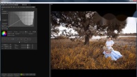 在3D LUT Creator中查看管理器