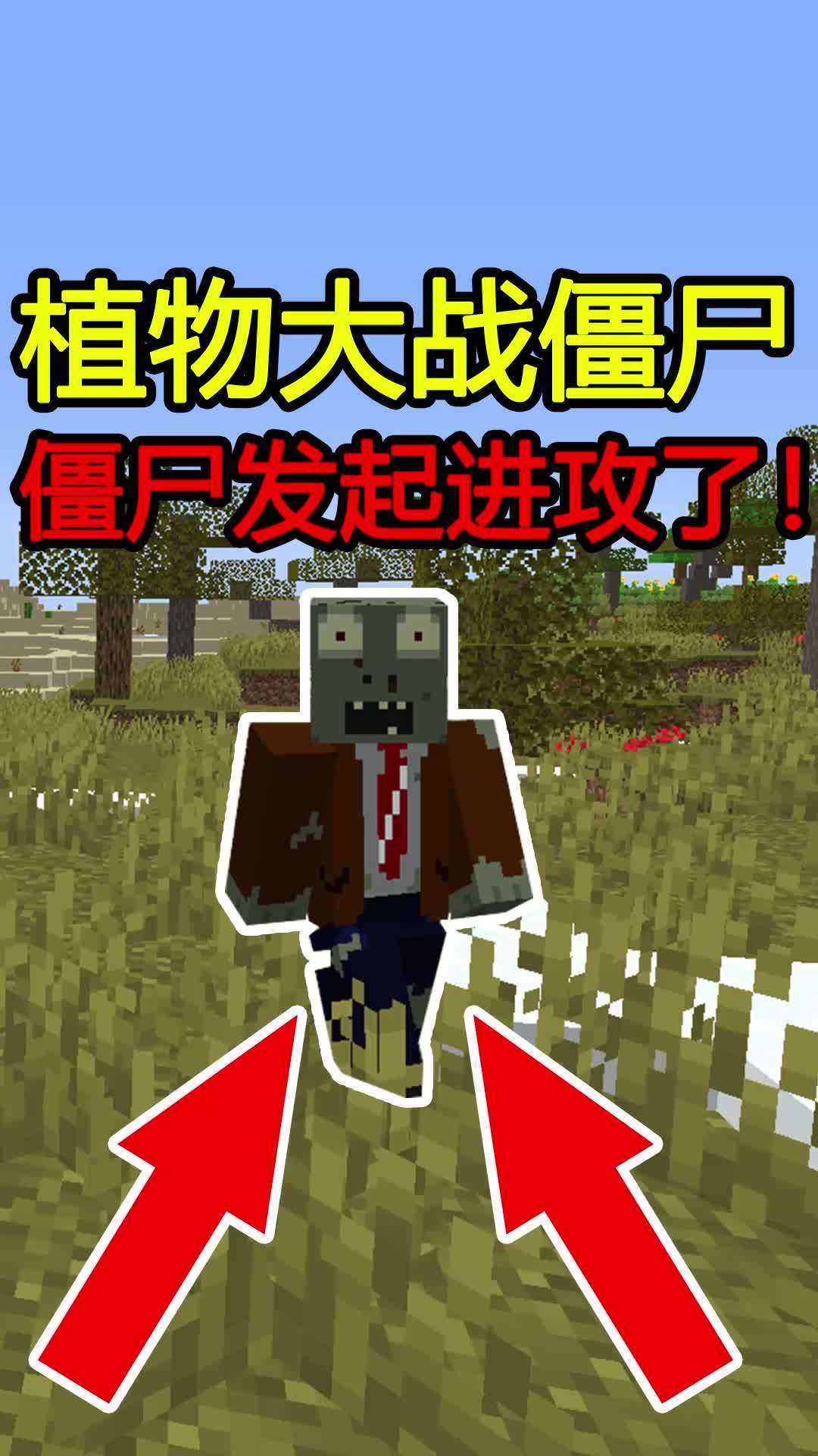 我的世界:植物大战僵尸,僵尸开始进攻了!