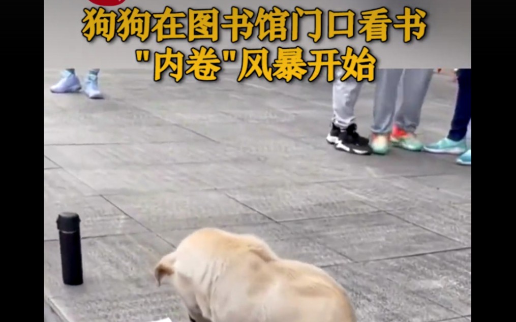 实验 验证机械能守恒定律