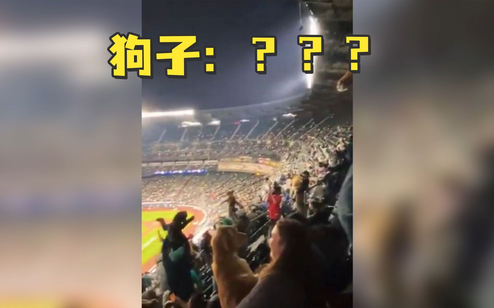 球场观众举起狗子模仿狮子王片段
