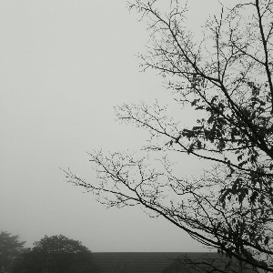 尤老师患得患失 