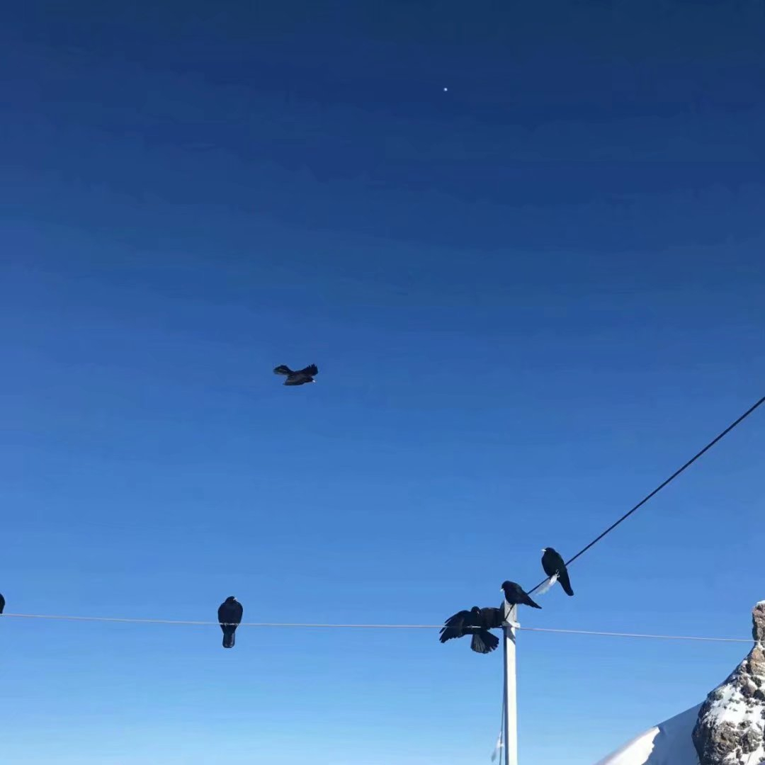 王梦多躲 