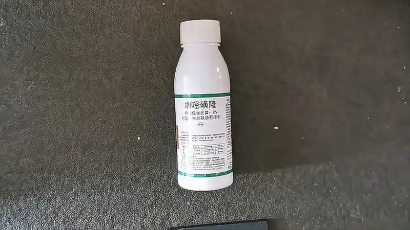 褐斑病防治,哪种杀菌剂更优?