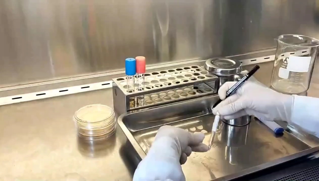 标准菌株的活化-微生物检验员资格证食品水质化学化妆品化验员培训...