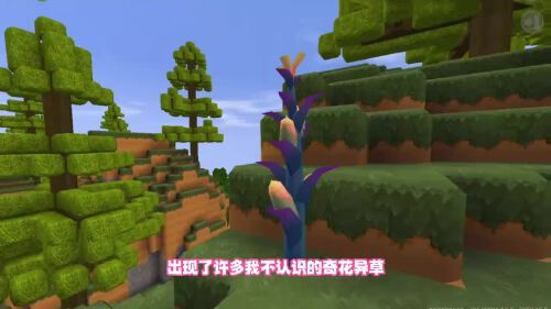 蜜糖迷你世界惊现神秘新物种!这还是你认识的方块大陆吗?