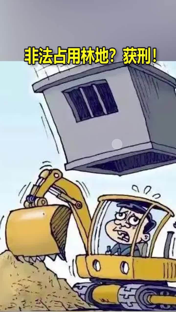 非法占用林地?获刑!