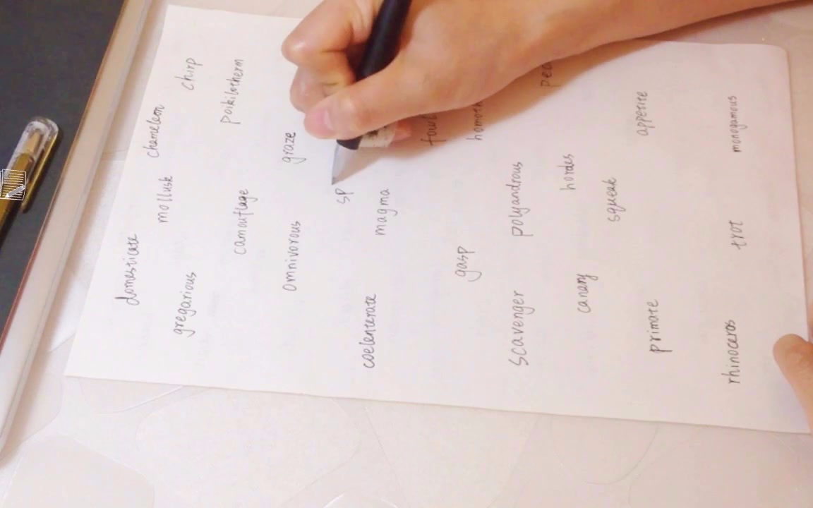 Study with Me #1 | 英语学习 | 背单词 | 托福词以类记