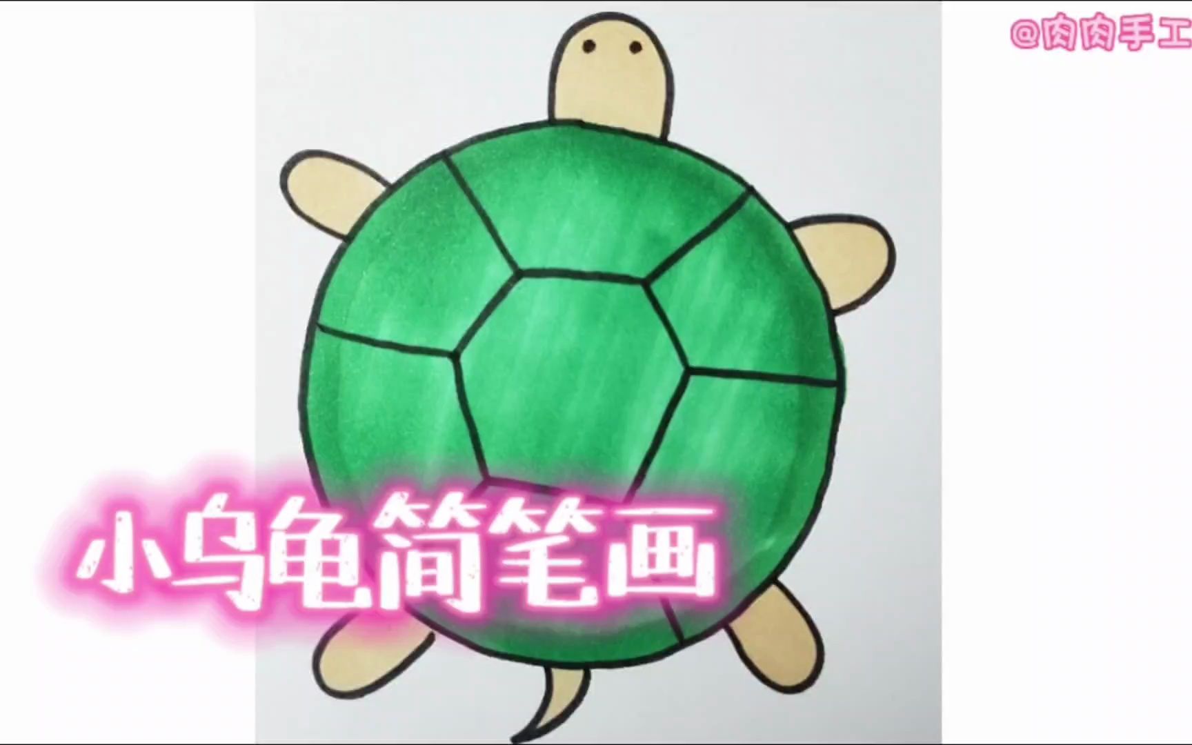 小乌龟简笔画,谁来一起画