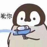 快乐的憨憨cc 