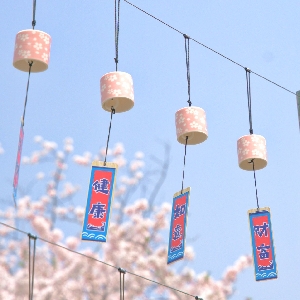 中宫天极 