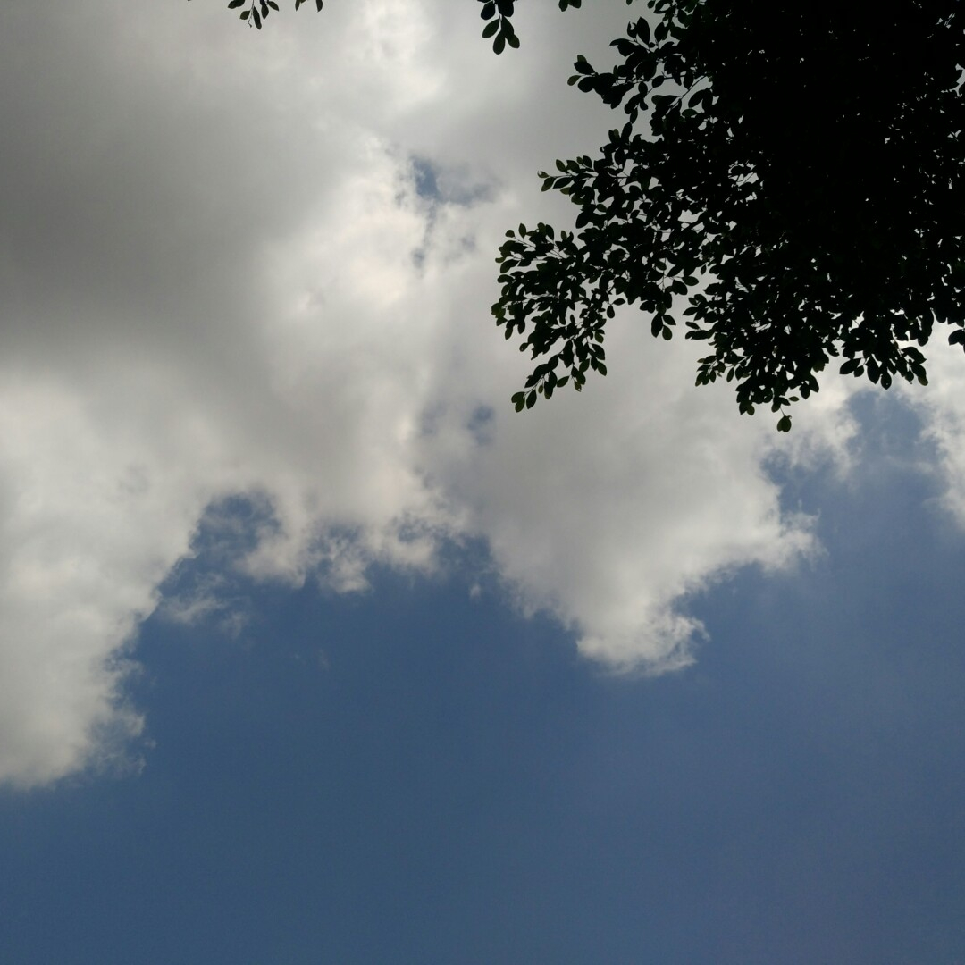 不多不少八字正好