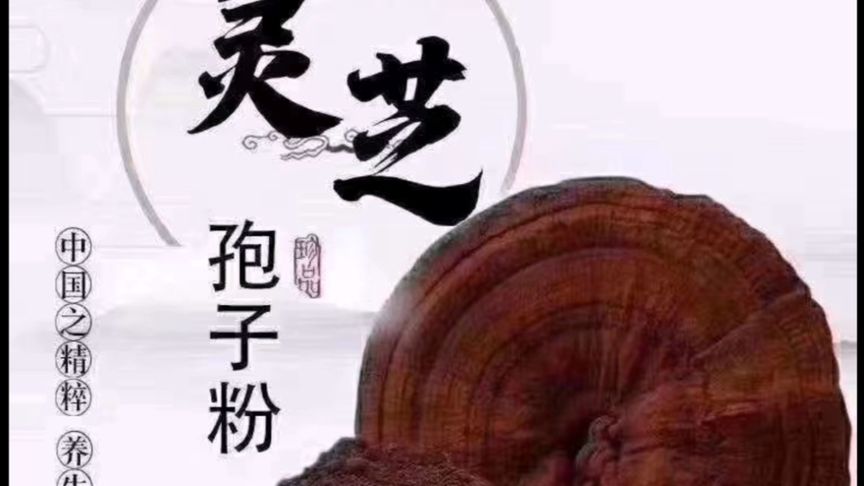 灵芝孢子粉是灵芝成熟时散发的种子!