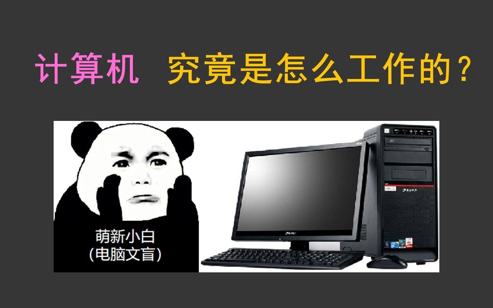 计算机究竟是怎么工作的