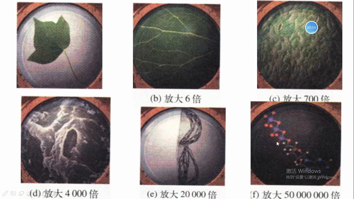物质是由大量分子组成的(物理)