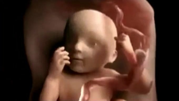 3D演示婴儿形成到出生:受精、着床、发育全过程