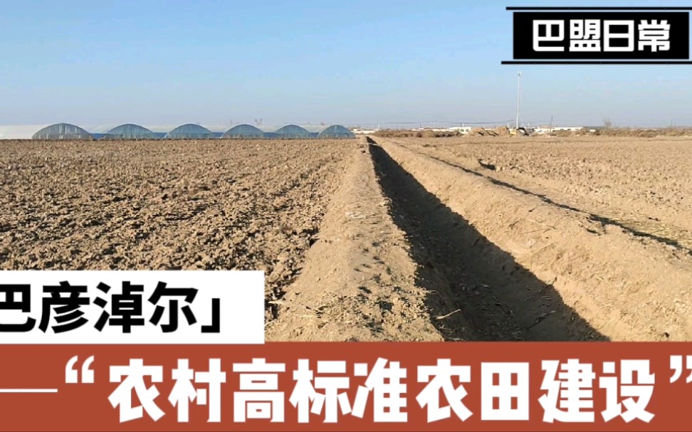 你对国家高标准农田建设项目了解吗?快来看看巴彦淖尔实施的咋样