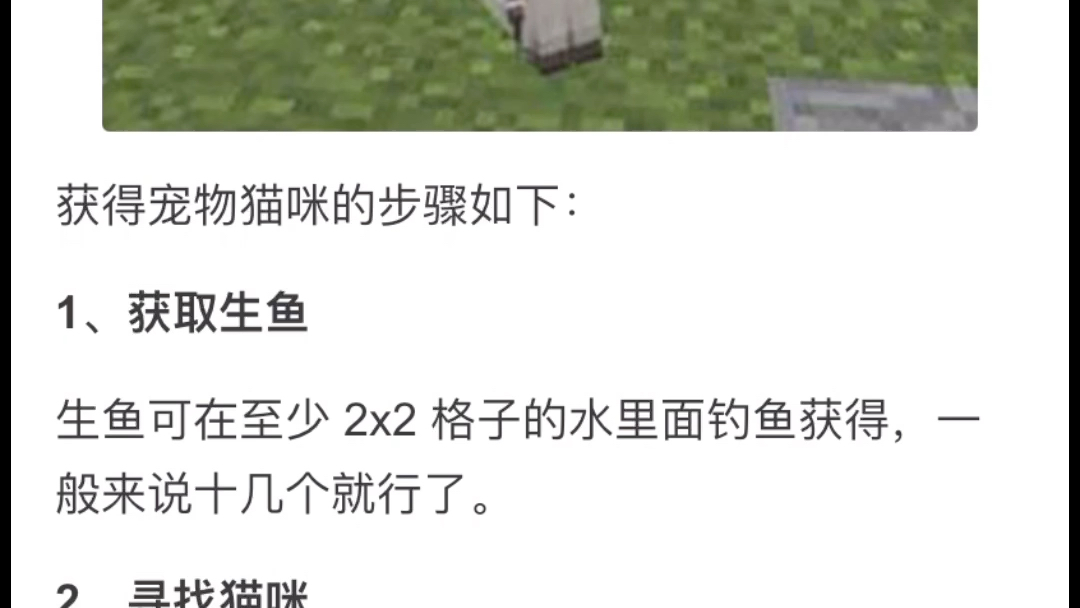 知识1 我的世界怎么抱起猫咪