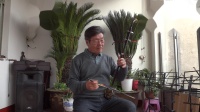 二胡独奏——挡不住的思念