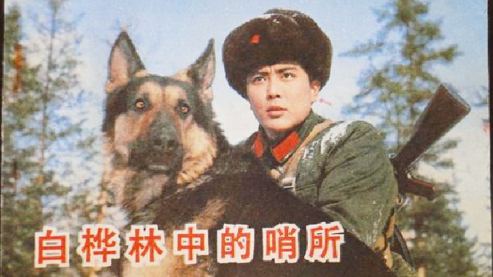 老电影《白桦林中的哨所》卢君、韩月乔主演,插曲《无言的战友》