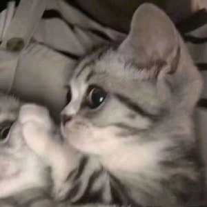 我叫郭冬至 