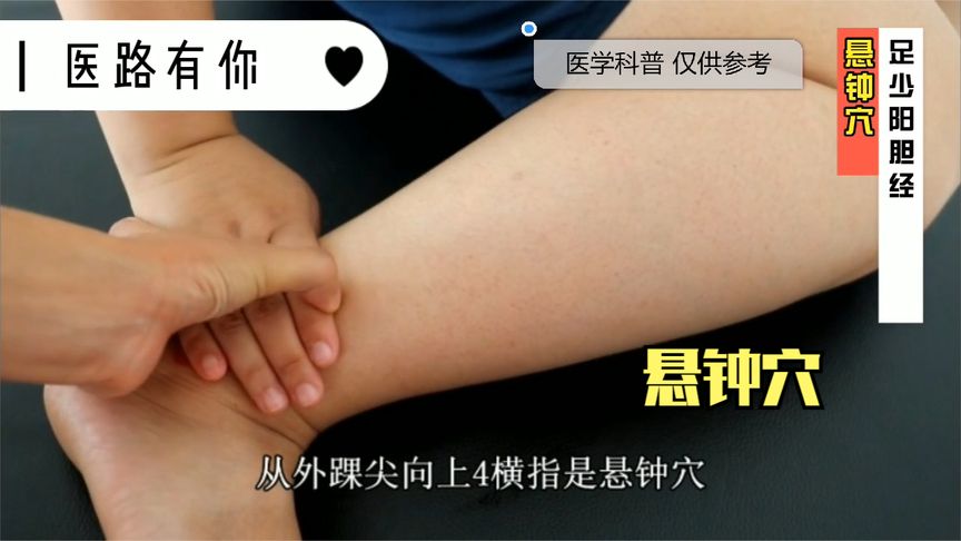 足少阳胆经——悬钟穴